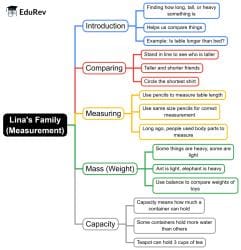 Mind Map: Lina's Family (Measurement) - Mathematics for Class 1: NCERT ...