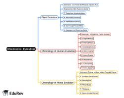 Mind Map: Evolution - NEET PDF Download