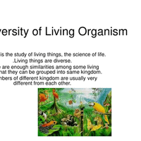 Diversity in Living Organism - PowerPoint Presentation - Class 9 PDF Download