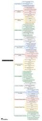 Mind Map: Unit 10: Inclusive Education - Crash Course for UGC NET ...