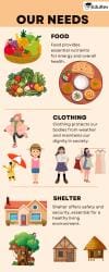 Infographics Our Needs Food, Shelter and Clothing - Science for Class 1 PDF