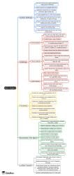Back Region Mind Map - NEET PG Anatomy PDF Download
