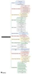Mind Map: Vision Set of Our Constitution - Class 8 PDF Download