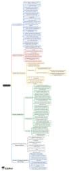 Mind Map: Anaesthesia - NEET PG PDF Download