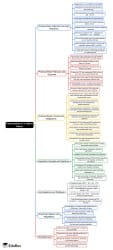 Photosynthesis in Higher Plants Mind Map - NEET PDF Download