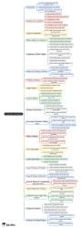 Corporate Accounting Mind Map - UGC NET Commerce Preparation Course PDF