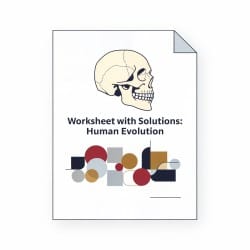 Human Evolution Worksheet - Class 10 Biology ICSE PDF Download