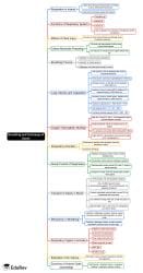 Breathing and Exchange of Gases Mind Map - NEET PDF Download