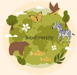 Biodiversity and Conservation Chapter Notes - NEET PDF Download