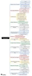 Theories of Personality (Behaviourist) Mind Map - UGC NET Physical ...