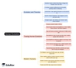 Human Evolution Mind Map - PDF Download