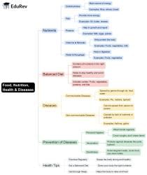 Class 5 Science Food Mind Map - Key Concepts