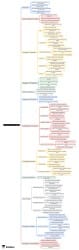 Mind Map: Puerperium and lactation - Gynaecology and Obstetrics - NEET ...