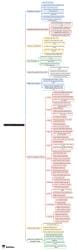 Mind Map: Demographic profile of Bihar - BPSC Preparation: All subjects ...