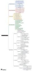 Mind Map: Modern Age - Crash Course for UGC NET English Literature PDF ...