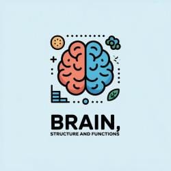 Brain, Structure and Functions - Psychology for UGC NET PDF Download
