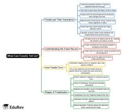 What can fossils tell us Mind Map - Grade 8 PDF Download