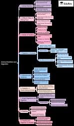 Mind Map: Nutrition In Animals - Class 7 PDF Download