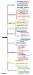 Functions Mind Map - Grade 12 Maths PDF Download