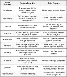 Organization of Natural Systems Chapter Notes - High School Biology - Grade