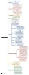 Mind Map: Violent Asphyxial Death - Forensic Medicine and Toxicology ...