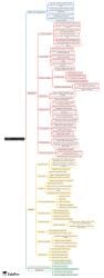 Buddhism and Jainism Mind Map - UPSC PDF Download