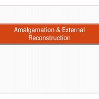 Accounting for Amalgamation PDF Download