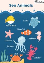 Printable Poster: Sea Animals - Science for Grade 1 PDF Download