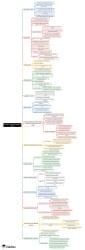 Mind Map: Anatomy and Physiology of Skin - Dermatology and Venereology ...