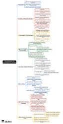 Psychoanalytic and Psychodynamic Theories Mind Map - UGC NET Psychology