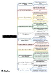 Mind Map: Protein Quantity and Quality in Relation to Requirements ...