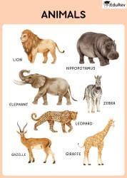 Printable Poster Wild Animals - Class 1 PDF Download