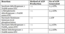 TCA Cycle and Biological Oxidation Chapter Notes - Biochemistry - NEET