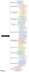 Mind Map: Cartography Thematic and Methodological Contribution - Crash ...
