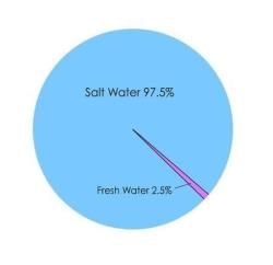 Our Wondrous World Class 5 - New NCERT notes for Class 5 - Free Online ...