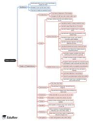 Mind Map: Determiners - Class 11 PDF Download