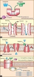 Pharmacodynamics Mechanism of Drug Action; Receptor Pharmacology Chapter
