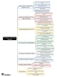 Mind Map: The Nature of Business Activity - Class 10 PDF Download