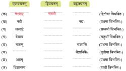 NCERT Solutions for Class 7 Sanskrit Chapter 1 वन्दे भारतमातरम्