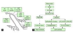 Electrophysiology of Heart Chapter Notes - Physiology - NEET PG PDF ...