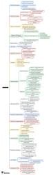 Mind Map: Nematodes - Microbiology - NEET PG PDF Download
