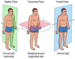 The Planes and Axes of Movement Used During Sport - Physical Education ...