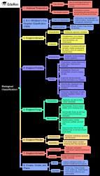 Mindmap: Biological Classification - Biology Class 11 - NEET PDF Download