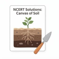 NCERT Solutions for Class 9 English Kaveri New NCERT 2026-27 (New Syllabus)