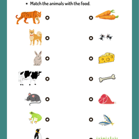 Visual Worksheet: Animals Food (with Solutions) - EVS for Class 1 PDF ...