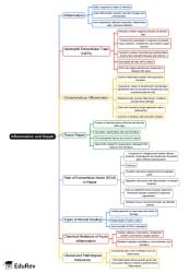 Mind Map: Inflammation and Repair - UPSC PDF Download