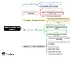 The Factors and Their Rewards Mind Map - Year 10 PDF Download