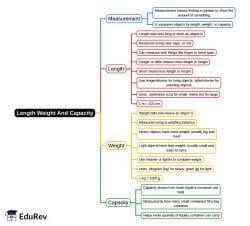 Mind Map: Length, Weight And Capacity - Class 1 PDF Download