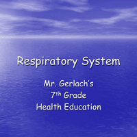 Respiratory System - PowerPoint Presentation- Science, Class 7 PDF Download