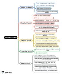 Mind Map: Basics of Noun - Class 6 PDF Download